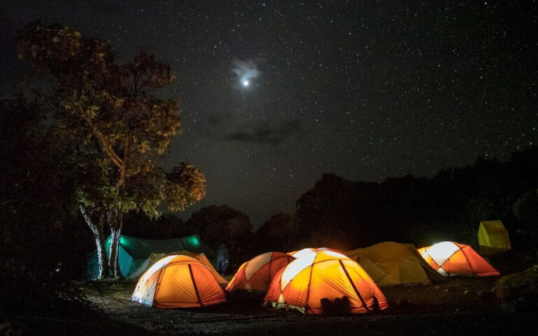 Serengeti at Night: New Moonlight Safari Experience in Tanzania ...