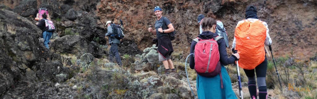 Lemosho vs Machame Route: Which Has the Highest Success Rate? - Kilisa ...